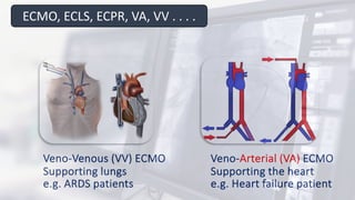 ECPR at the Roadside - Mamoun Abu-Habsa - TBS24 | PDF