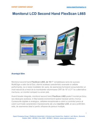 Monitor LCD FlexScan L665 | PDF