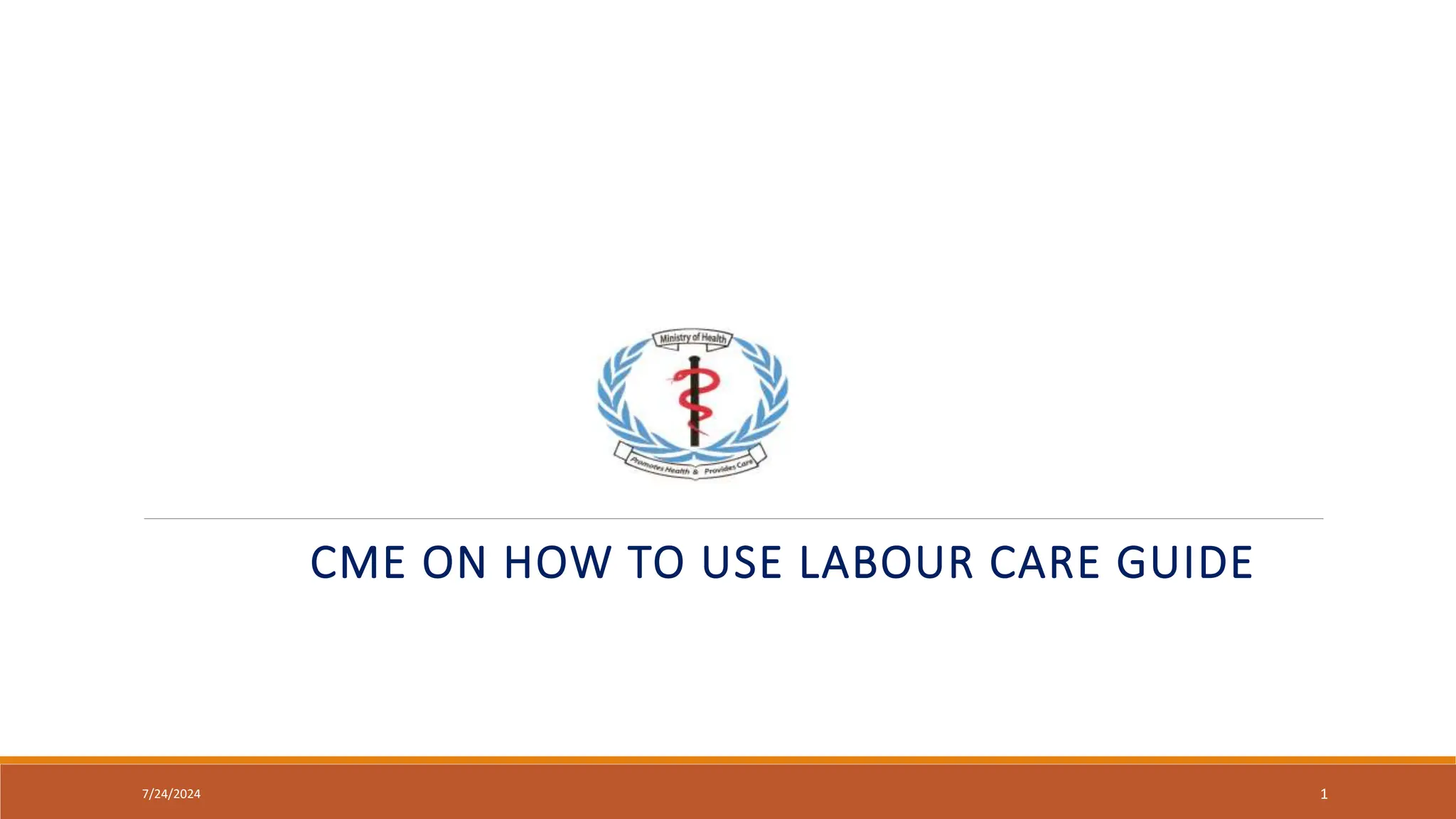 WHO user's manual labour care guide.pptx