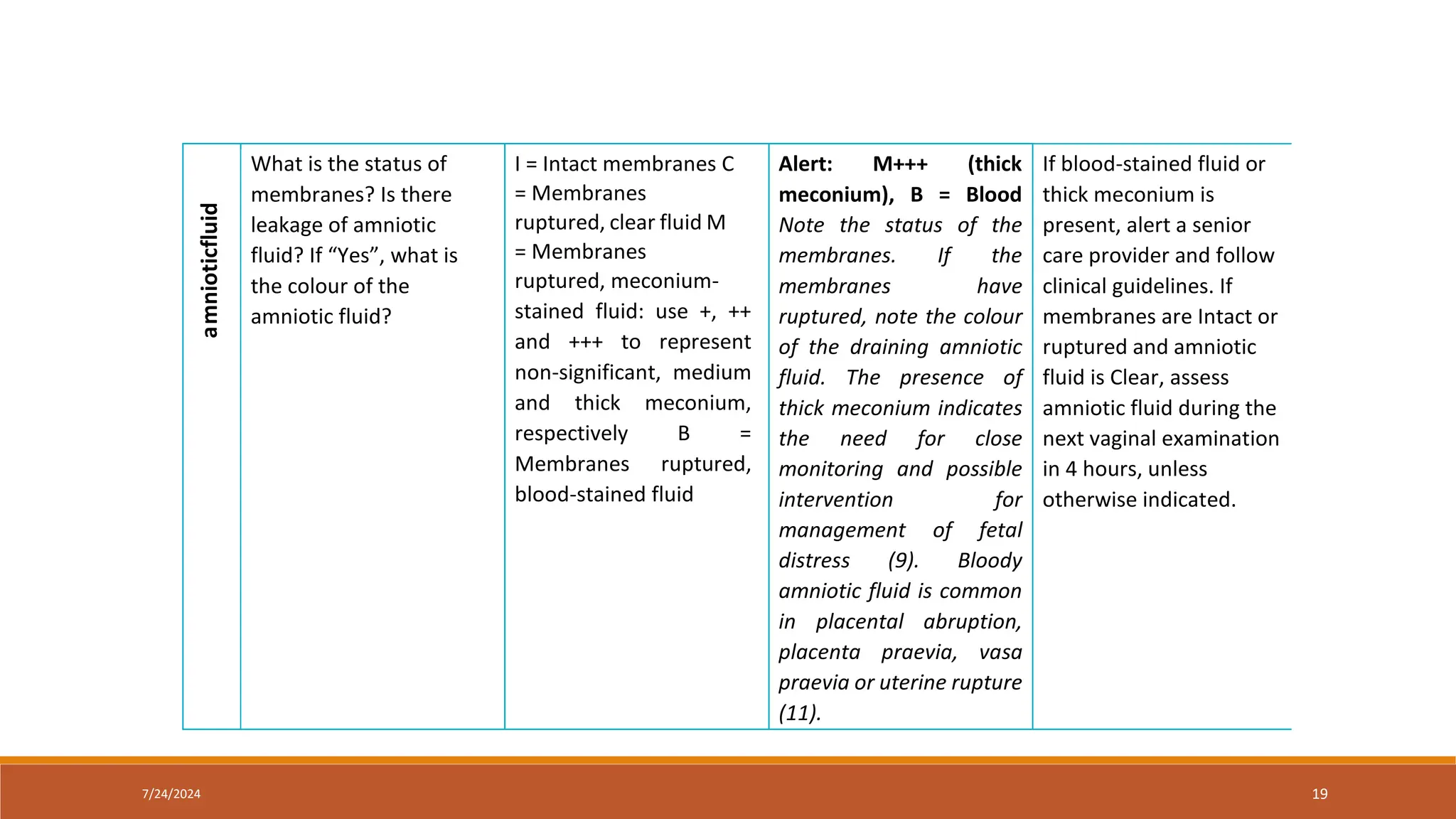 WHO user's manual labour care guide.pptx