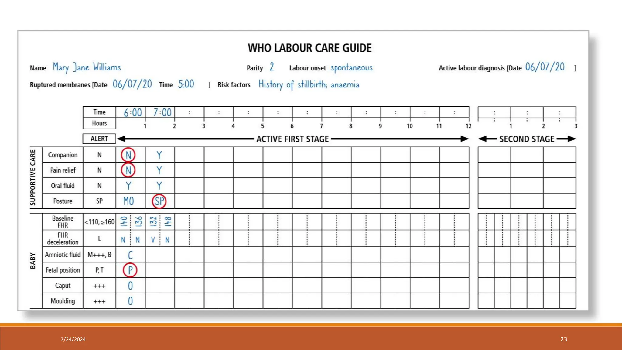 WHO user's manual labour care guide.pptx