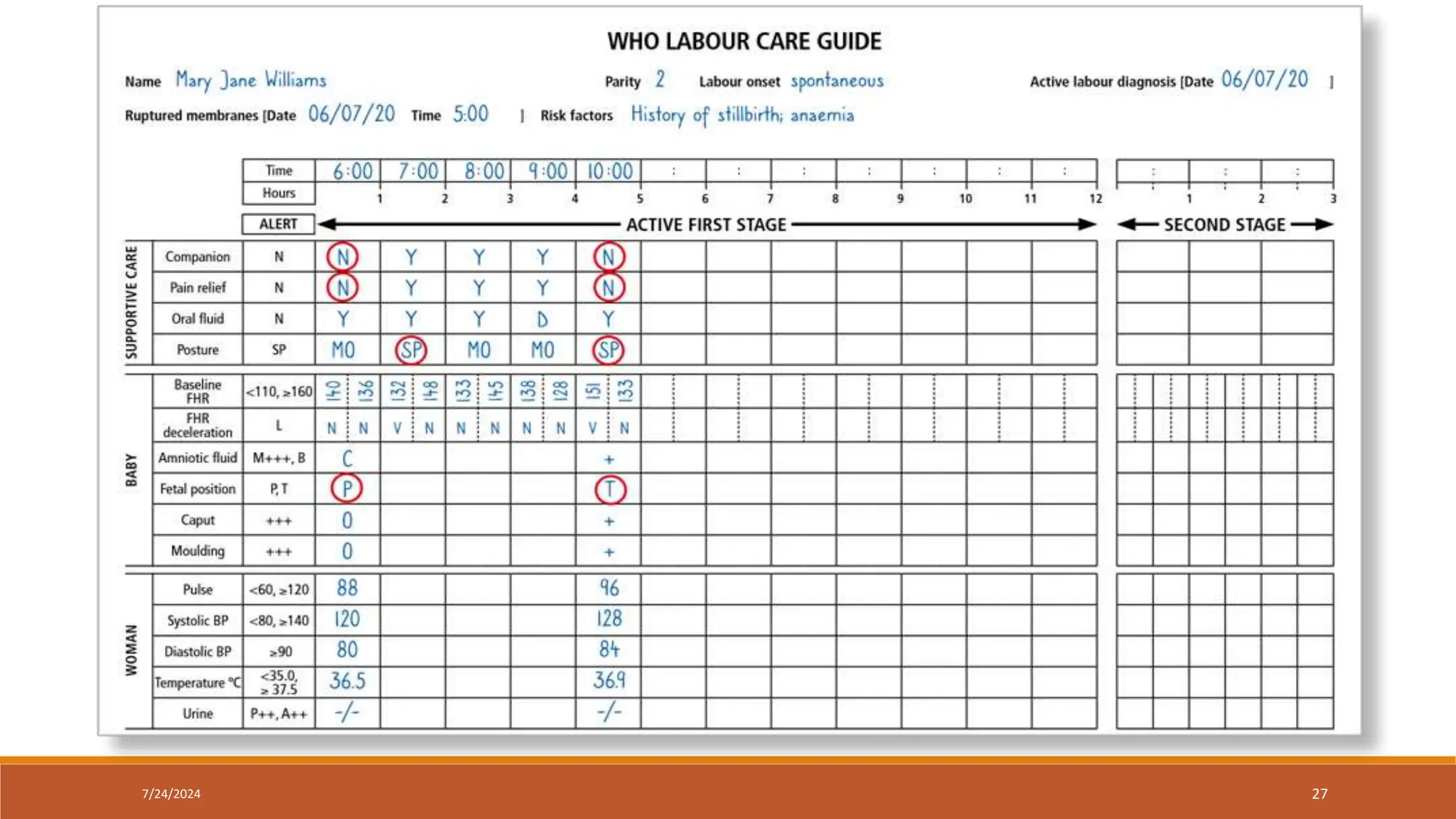 WHO user's manual labour care guide.pptx
