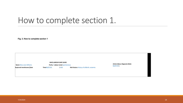 WHO user's manual labour care guide.pptx