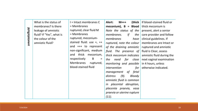 WHO user's manual labour care guide.pptx