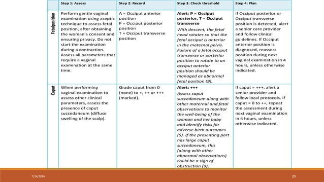 WHO user's manual labour care guide.pptx