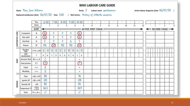 WHO user's manual labour care guide.pptx