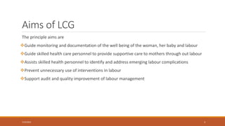 WHO user's manual labour care guide.pptx