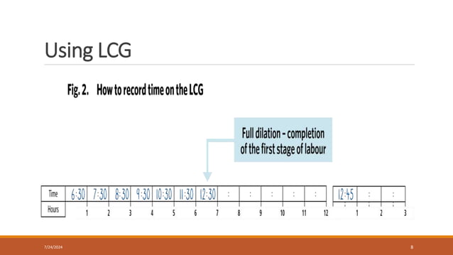 WHO user's manual labour care guide.pptx