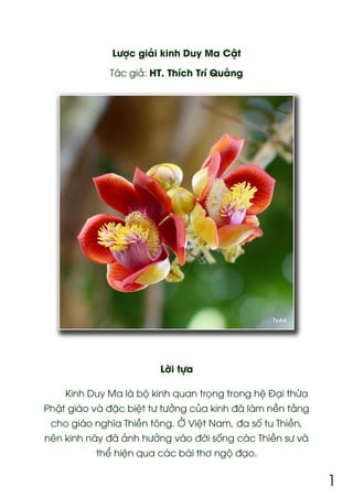 Lược giải kinh duy ma cật | PDF