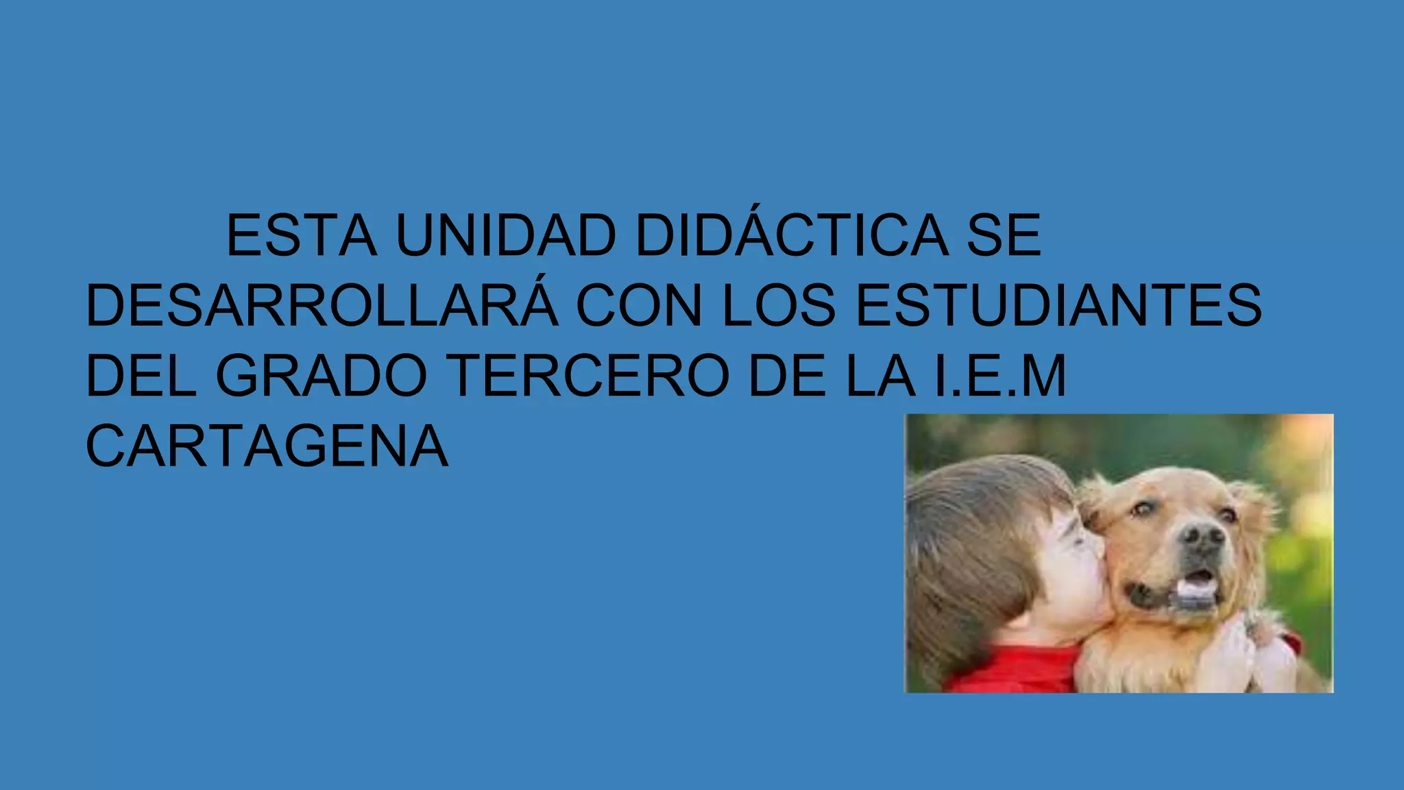 Unidad didáctica conozcamos los animales mamíferos | PPT