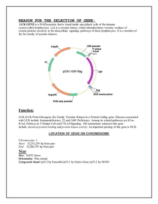 LCK gene | DOCX