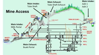 Lepanto Consolidated Mining Company Introduction | PDF