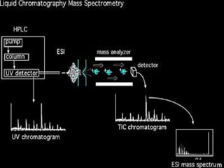 Liquid chromatography and mass spectrometry.(LCMS) | PPTX