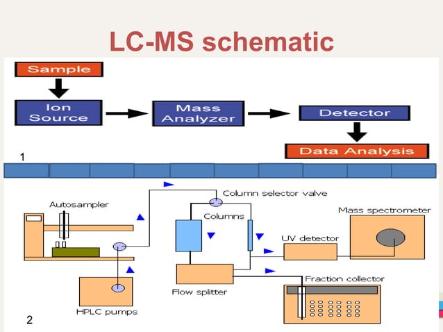 Liquid chromatography and mass spectrometry.(LCMS) | PPTX | Chemistry | Science