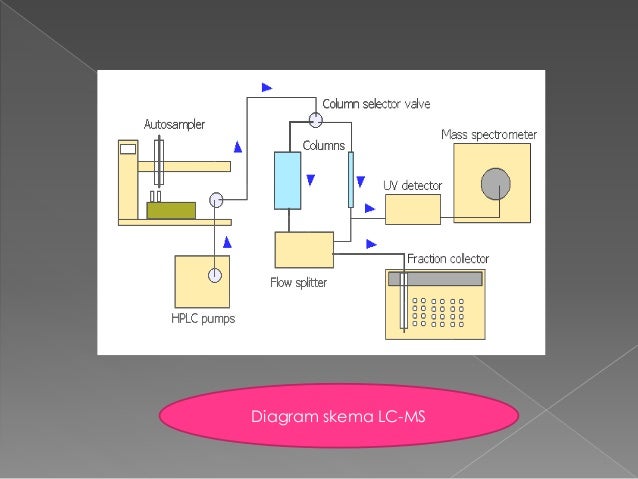 liquid chromatography mass spectrometry