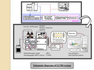 LCMS PHYTOCHEMICAL ANALYSIS | PPTX