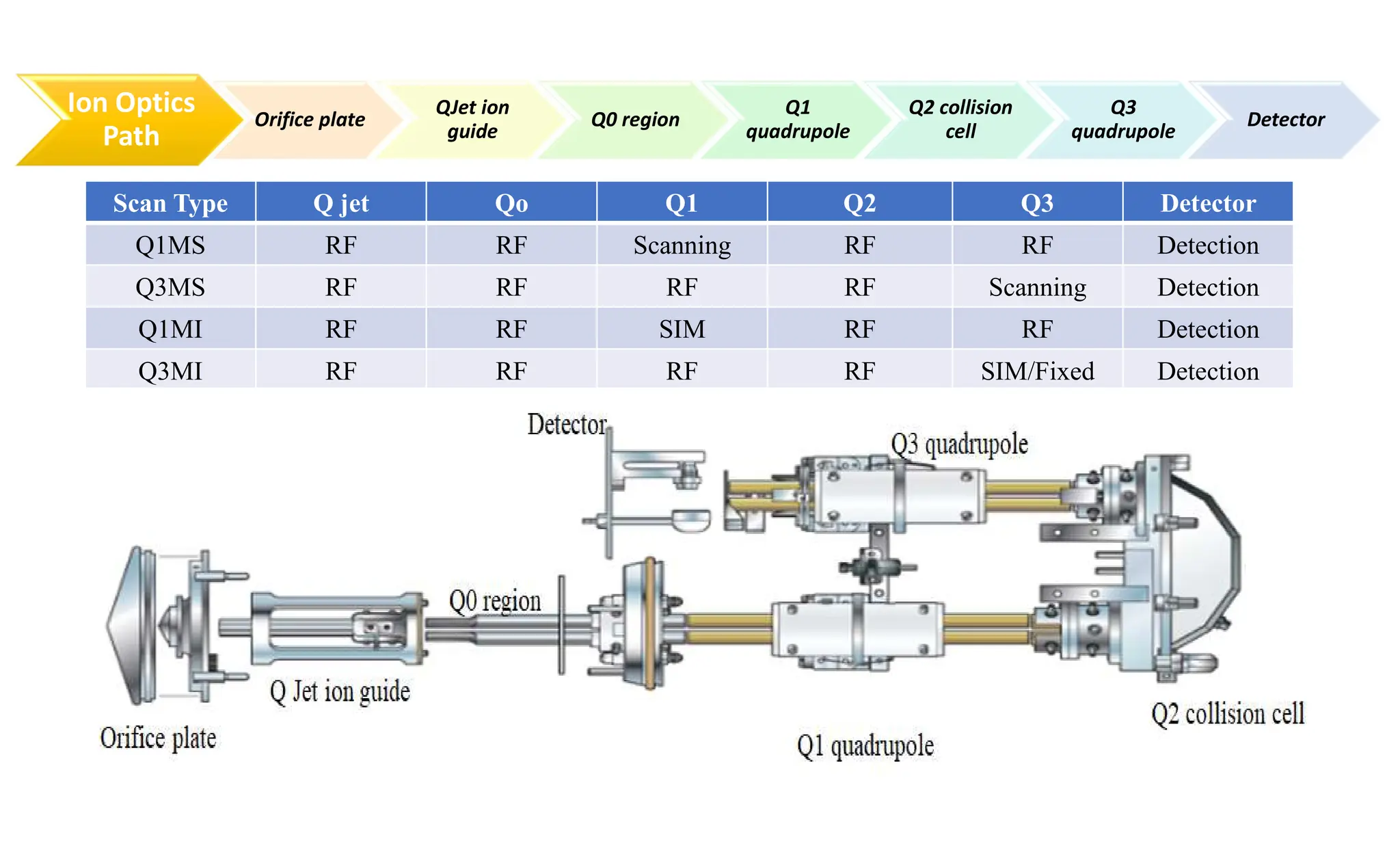 LCMS Type of Scan.pdf