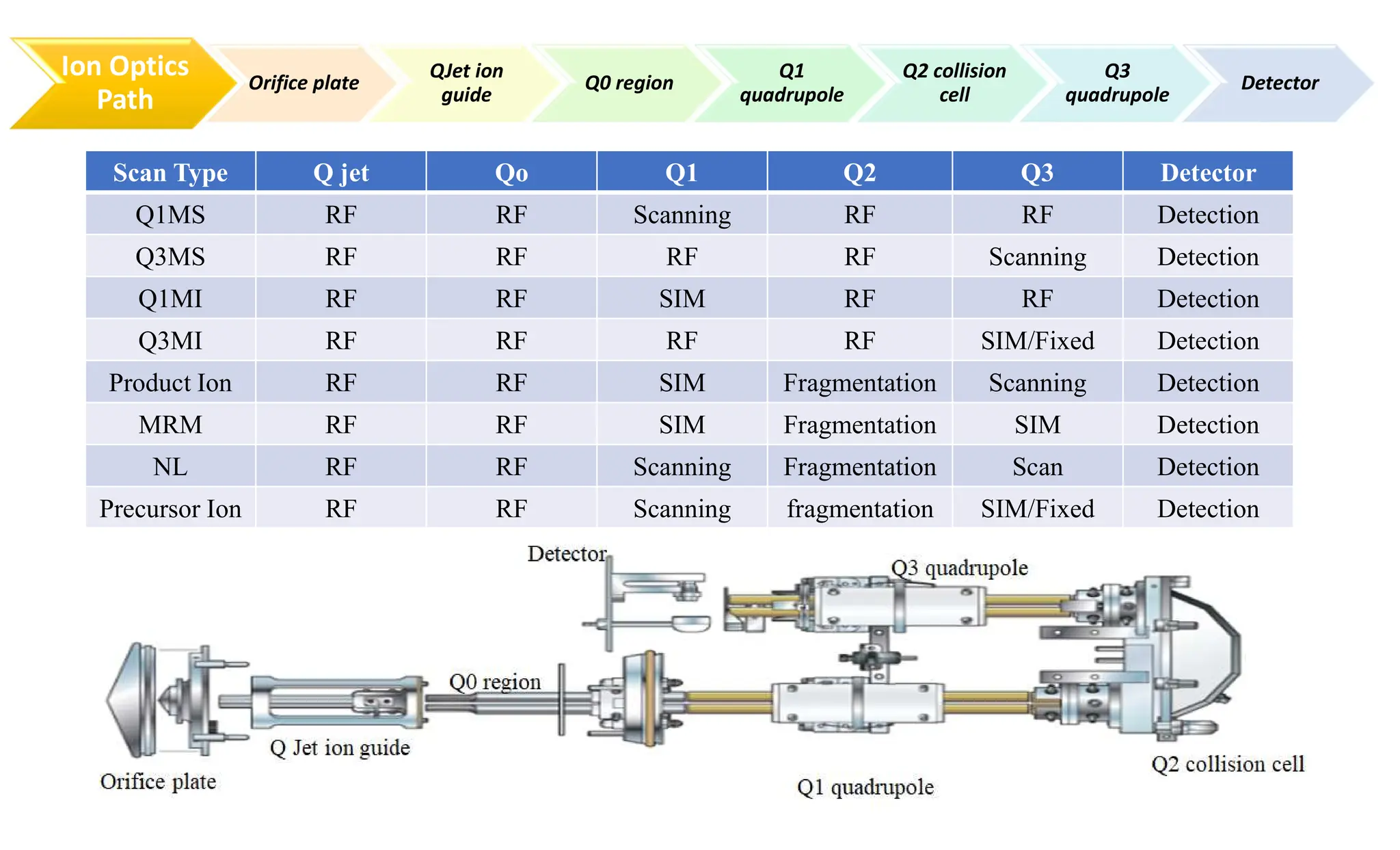 LCMS Type of Scan.pdf