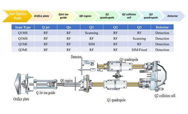 LCMS Type of Scan.pdf | Chemistry | Science