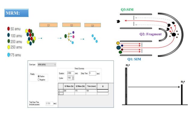 LCMS Type of Scan.pdf | Chemistry | Science