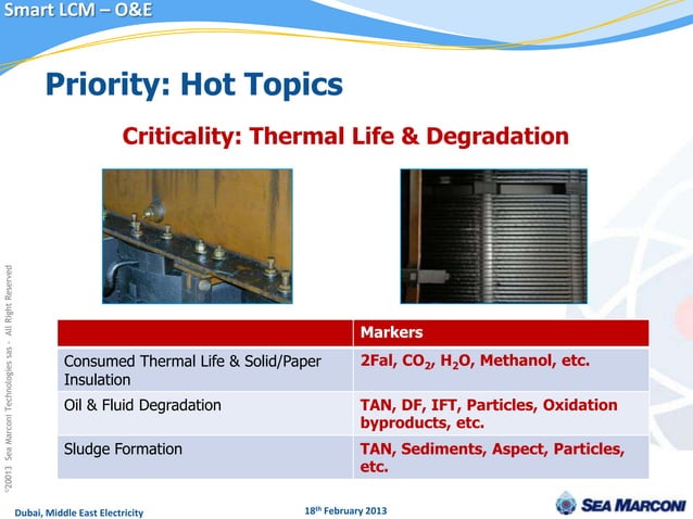 Life Cycle Management (LCM) of fleet of transformers with insulating ...