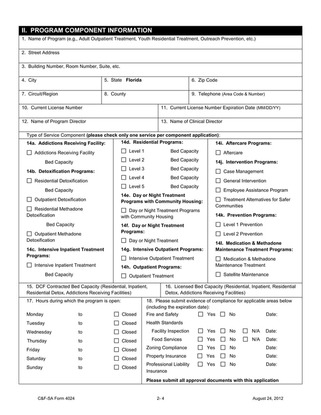 DCF Substance Abuse Services | PDF
