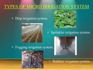 micro irrigation system kvg | PPT