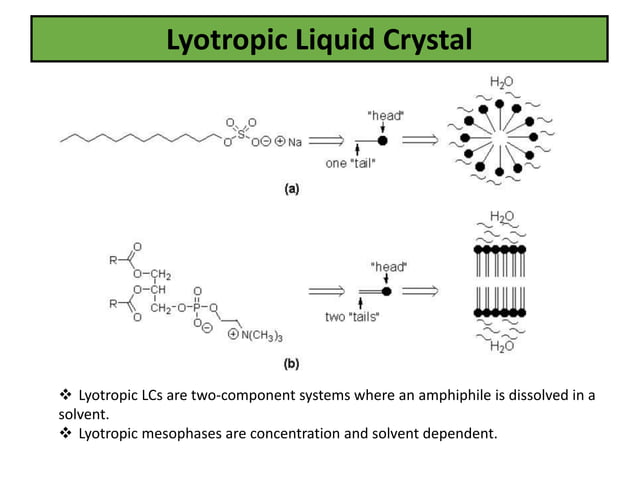 Liquid Crystal and Liquid Crystal Polymer | PPTX | Chemistry | Science