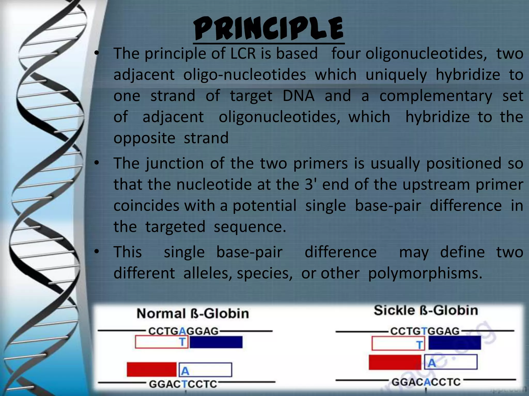 Ligase Chain Reaction(LCR) | PPTX