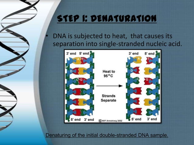 Ligase Chain Reaction(LCR) | PPTX | Chemistry | Science