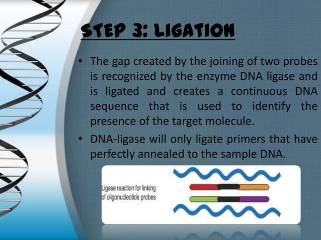 Ligase Chain Reaction(LCR) | PPTX | Chemistry | Science