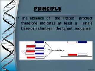 Ligase Chain Reaction(LCR) | PPTX