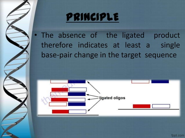 Ligase Chain Reaction(LCR) | PPTX | Chemistry | Science