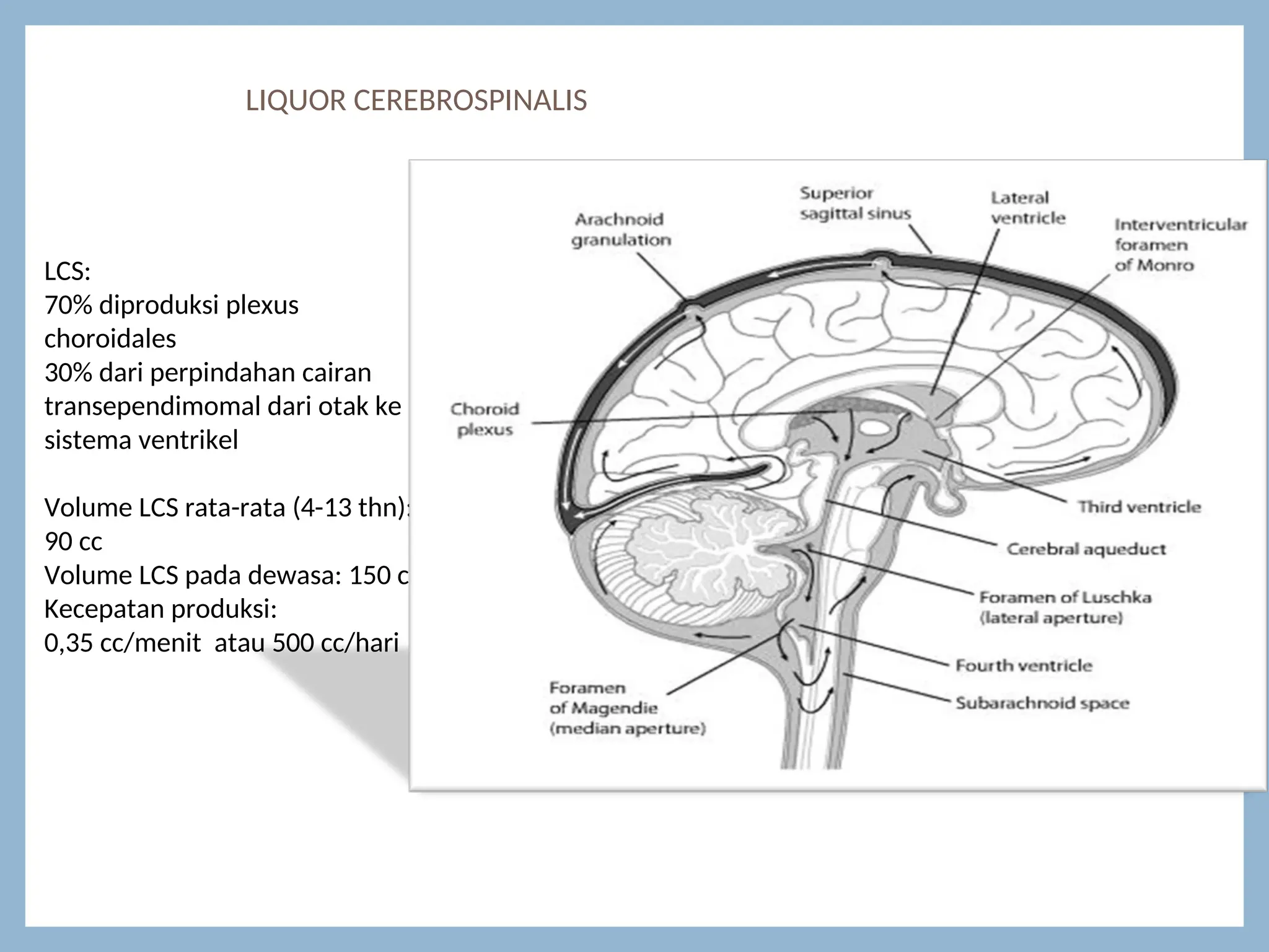 LCS dan peningkatan TIK g pada stroke.ppt