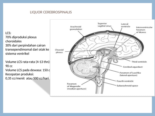 LCS dan peningkatan TIK g pada stroke.ppt