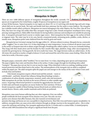 Mosquitos | PDF | Birds | Pets