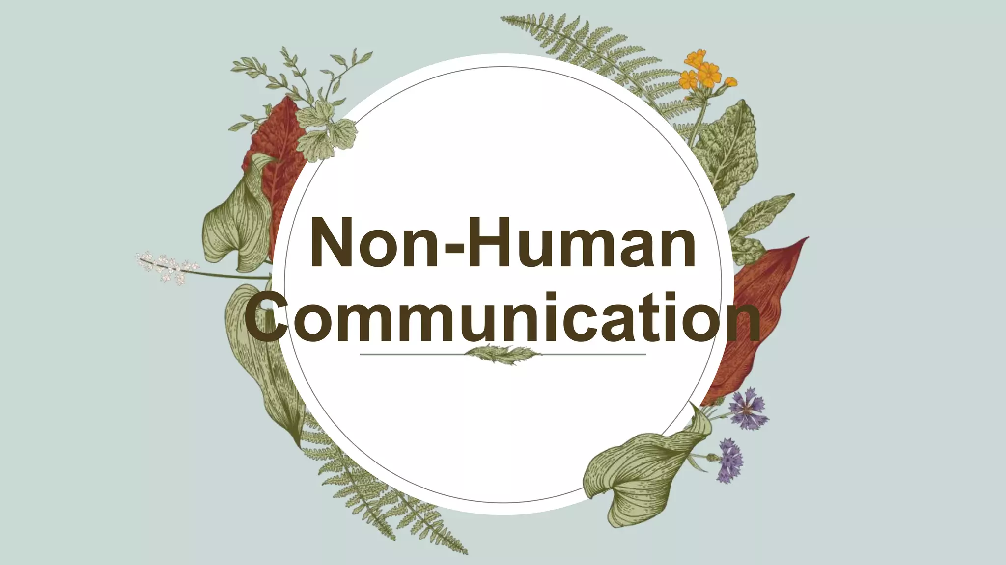 Non-Human Communication | PPTX