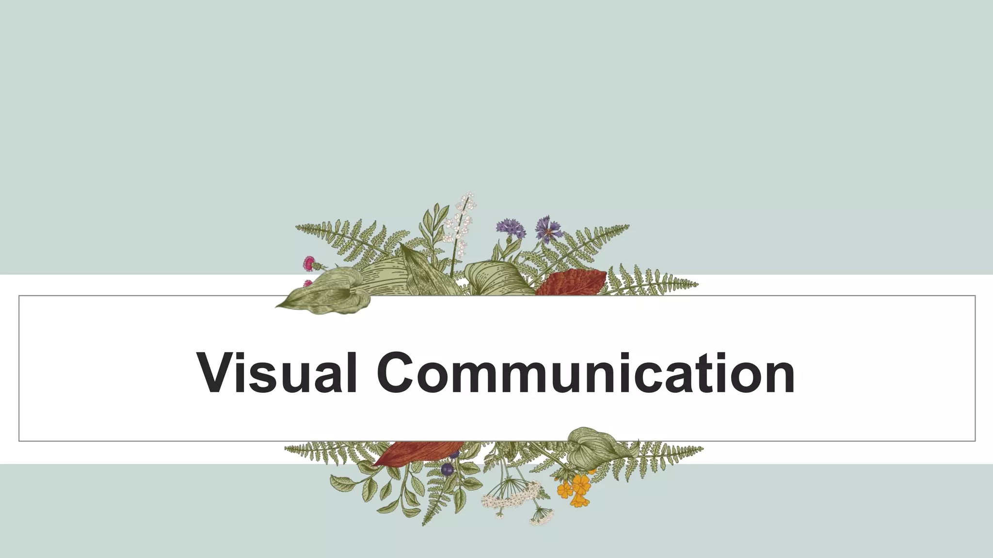 Non-Human Communication | PPTX