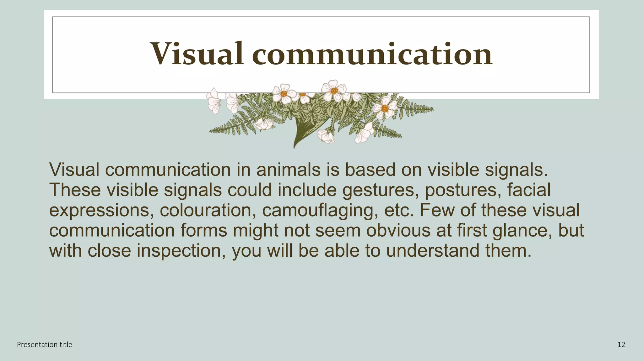 Non-Human Communication | PPTX
