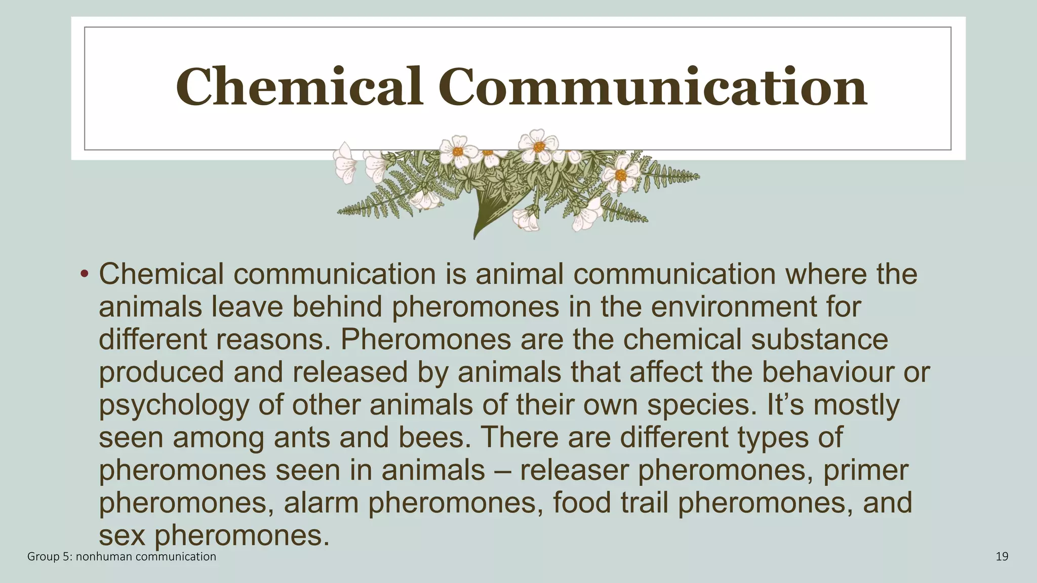 Non-Human Communication | PPTX