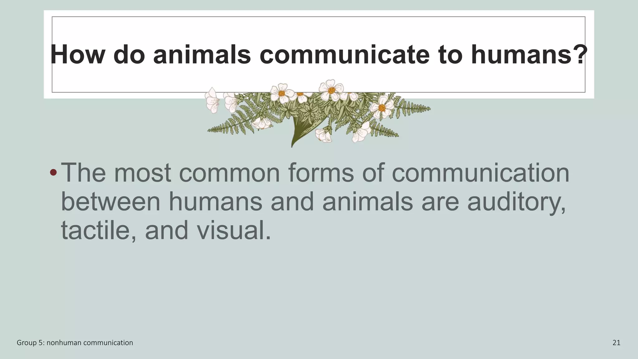 Non-Human Communication | PPTX