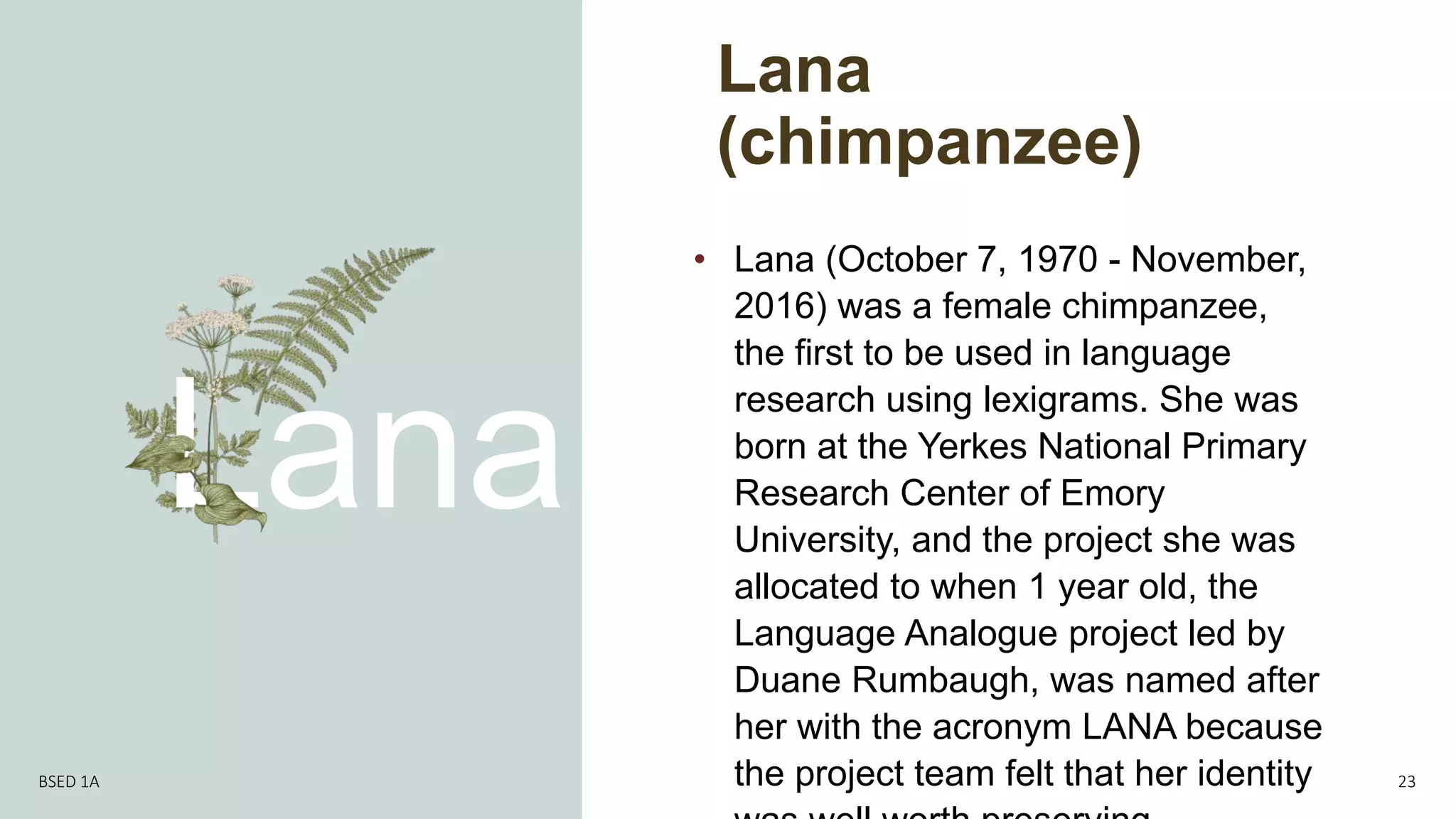 Non-Human Communication | PPTX