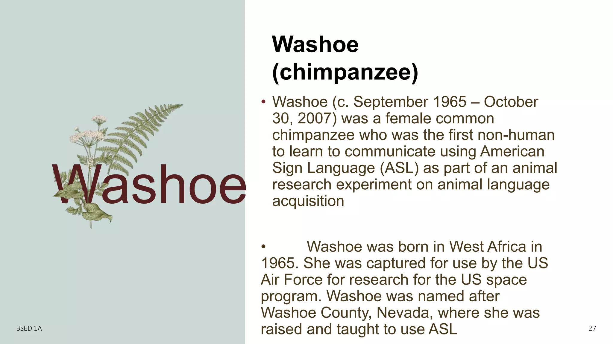 Non-Human Communication | PPTX