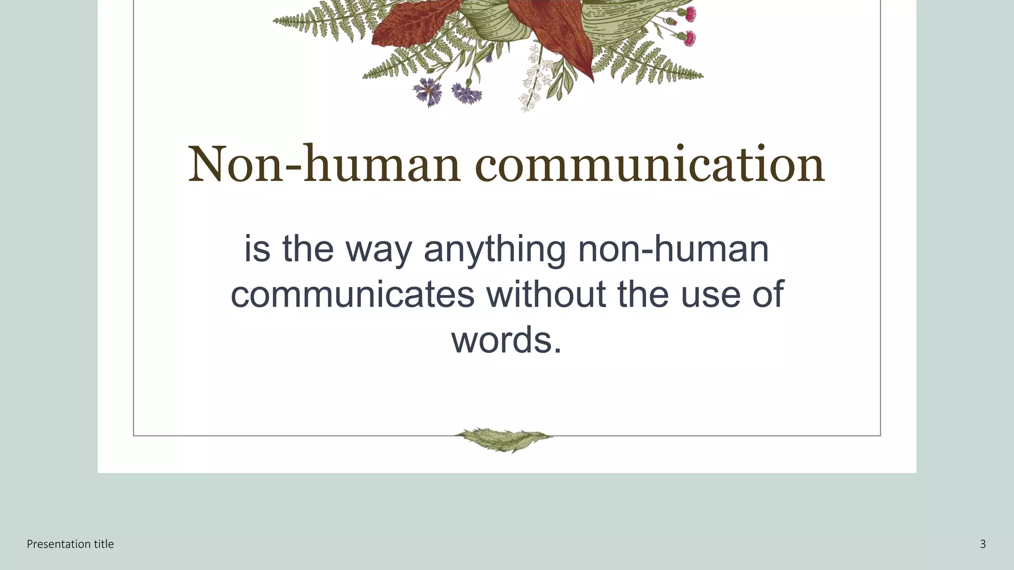 Non-Human Communication | PPTX