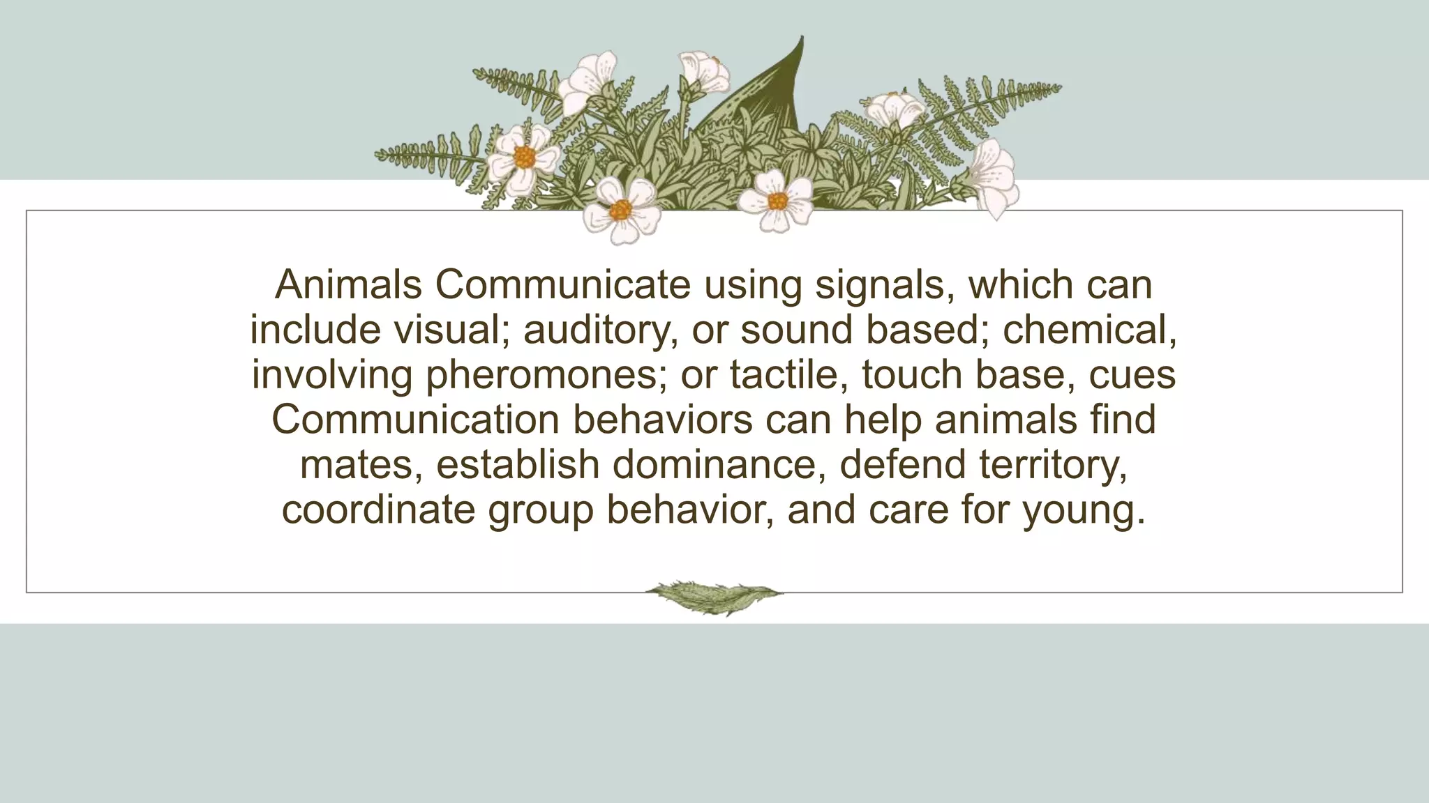 Non-Human Communication | PPTX