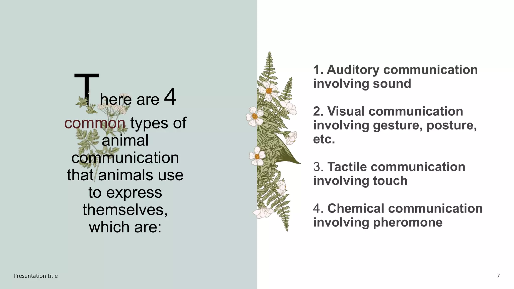 Non-Human Communication | PPTX