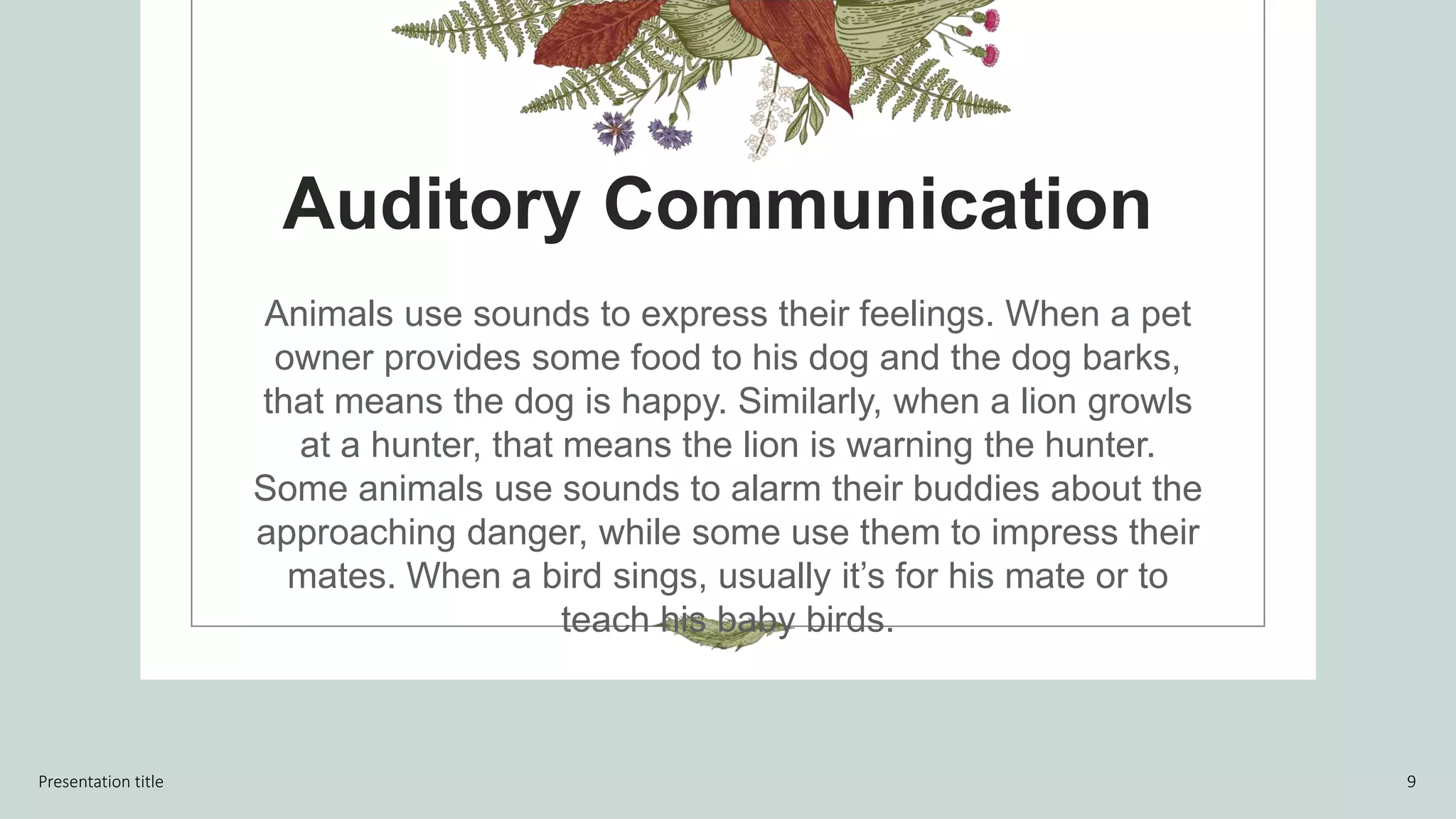 Non-Human Communication | PPTX