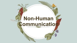 Non-Human Communication | PPTX