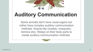 Non-Human Communication | PPTX