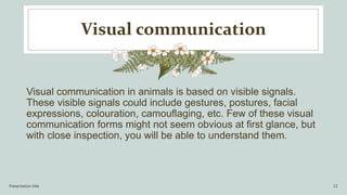 Non-Human Communication | PPTX